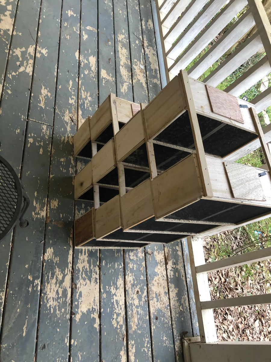 Shipped 3 LB. PACKAGE HONEY BEES WITH ITALIAN HYBRID QUEEN – Little ...